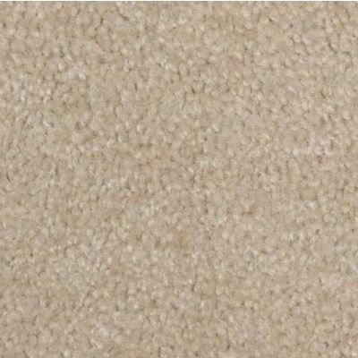 Carpet & Turf | Town & Country Event Rentals