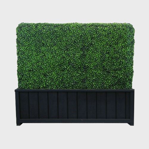 40” Single-Sided Boxwood Hedge | Town & Country Event Rentals